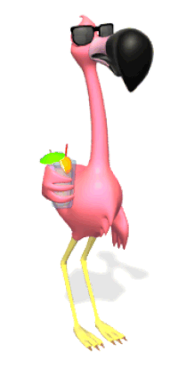 Flamingos GIFs - Get the best gif on GIFER