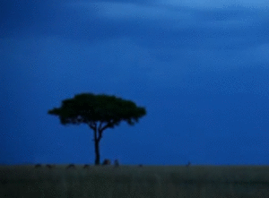 Rocket drill GIFs - Obtenez le meilleur gif sur GIFER