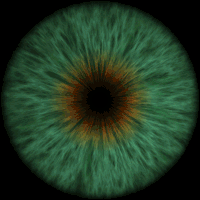 Sfx GIFs - Get the best gif on GIFER