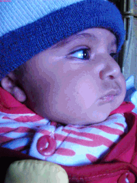 Muhammad GIFs - Get the best gif on GIFER