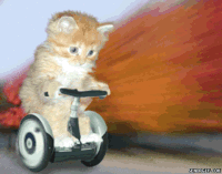 Vroom GIFs - Get the best gif on GIFER
