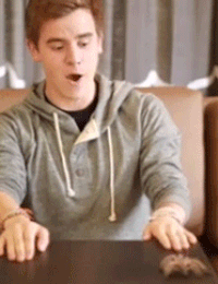 Jumble GIFs - Get the best gif on GIFER