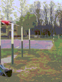 Guess GIFs - Get the best gif on GIFER