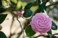 Submit GIFs - Get the best gif on GIFER