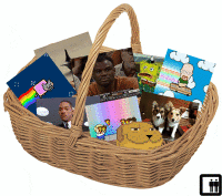 Basket GIFs - Get the best gif on GIFER
