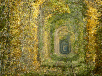 Walkway GIFs - Get the best gif on GIFER