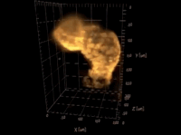 Zebrafish embryo GIFs - Obtenez le meilleur gif sur GIFER