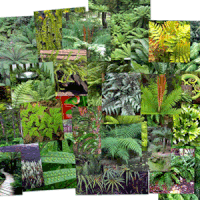 Botany GIFs - Get the best gif on GIFER