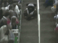 Blooper GIFs - Get the best gif on GIFER