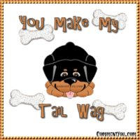 Wag GIFs - Get the best gif on GIFER