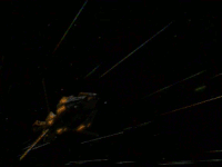 Borg GIFs - Get the best gif on GIFER