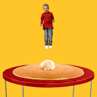 Trampoline GIFs - Get the best gif on GIFER