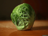 Sprouts GIFs - Get the best gif on GIFER