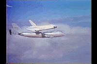 Separating GIFs - Get the best gif on GIFER