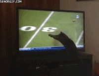 Interception GIFs - Get the best gif on GIFER