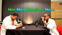 Microbes GIFs - Get the best gif on GIFER