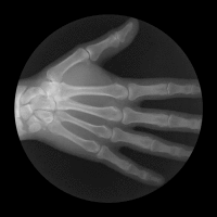 Hand GIFs - Get the best gif on GIFER