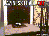 Hurray GIFs - Get the best gif on GIFER