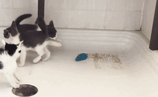 Pullout GIFs - Get the best gif on GIFER