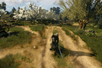 Witcher GIFs - Get the best gif on GIFER