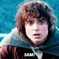 Frodo GIFs - Get the best gif on GIFER