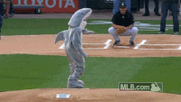 Tiburon GIF - Conseguir el mejor gif en GIFER