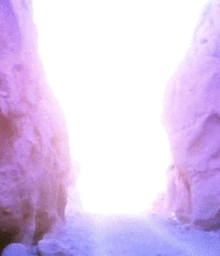 Boards GIFs - Get the best gif on GIFER