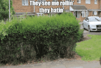 Fella GIFs - Get the best gif on GIFER