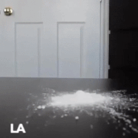 Snorting GIFs - Get the best gif on GIFER
