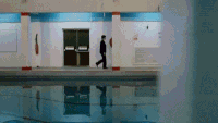 Iq GIFs - Get the best gif on GIFER