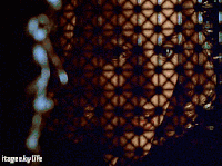 Stigmata GIFs - Get the best gif on GIFER