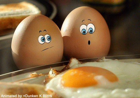 Eggs GIFs - Get the best gif on GIFER