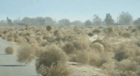 Tumbleweed GIFs - Get the best gif on GIFER