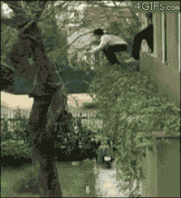 Escapar GIFs - Get the best gif on GIFER