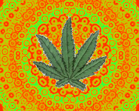 Marijuana GIFs - Get the best gif on GIFER