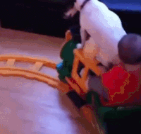Greyhound GIFs - Get the best gif on GIFER