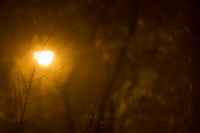 Wind GIFs - Get the best gif on GIFER