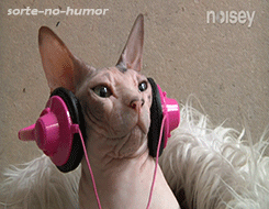 Melhores GIF - Conseguir o melhor gif em GIFER