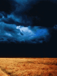 Sturm GIFs - Get the best gif on GIFER