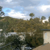 Harin GIFs - Get the best gif on GIFER