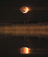 Lua GIFs - Get the best gif on GIFER