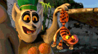 Madagascar GIFs - Get the best gif on GIFER