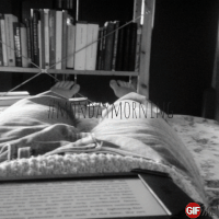 Ebook GIFs - Get the best gif on GIFER