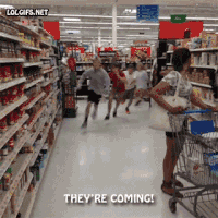 Funny GIFs - Get the best gif on GIFER