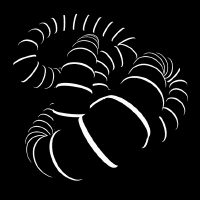 Mesmerizing GIFs - Get the best gif on GIFER