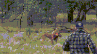 Australia GIFs - Get the best gif on GIFER
