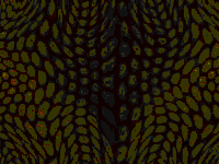 Motifs GIFs - Get the best gif on GIFER