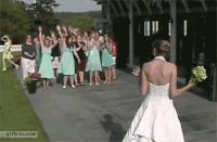 Hochzeit GIFs - Get the best gif on GIFER