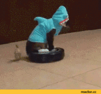 Vacuo GIFs - Get the best gif on GIFER