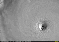 Typhoons GIFs - Get the best gif on GIFER